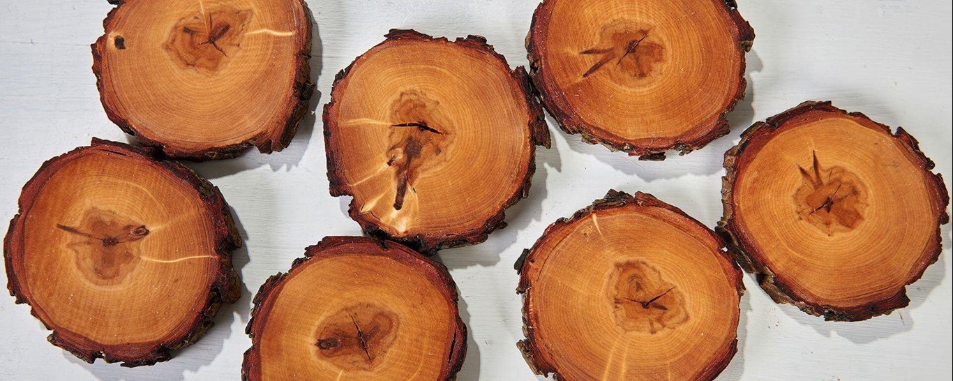 How to make rustic log coasters